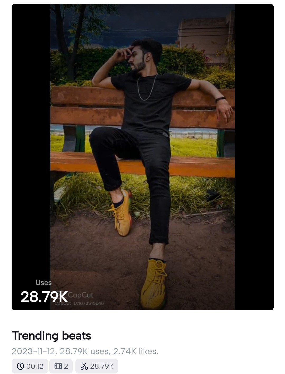 Rani Tu Mein Raja CapCut Template Link 2024 (100% Working Link)